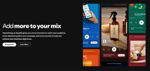 The Truth About Spotify Fake Streams : What Every Artist Needs to Know 2025